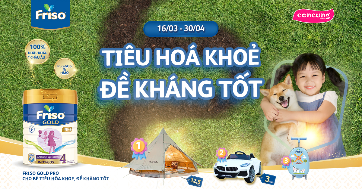 Cập nhật bảng giá giảm và khuyến mãi sữa Friso Pro mới nhất