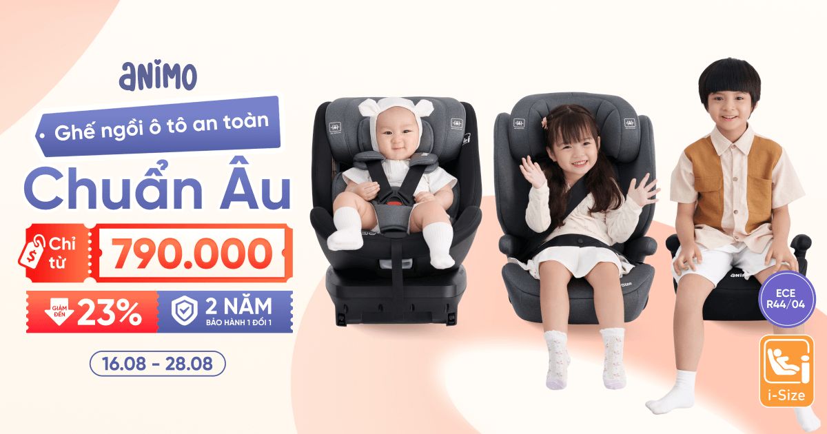 Ghế ngồi ô tô Animo